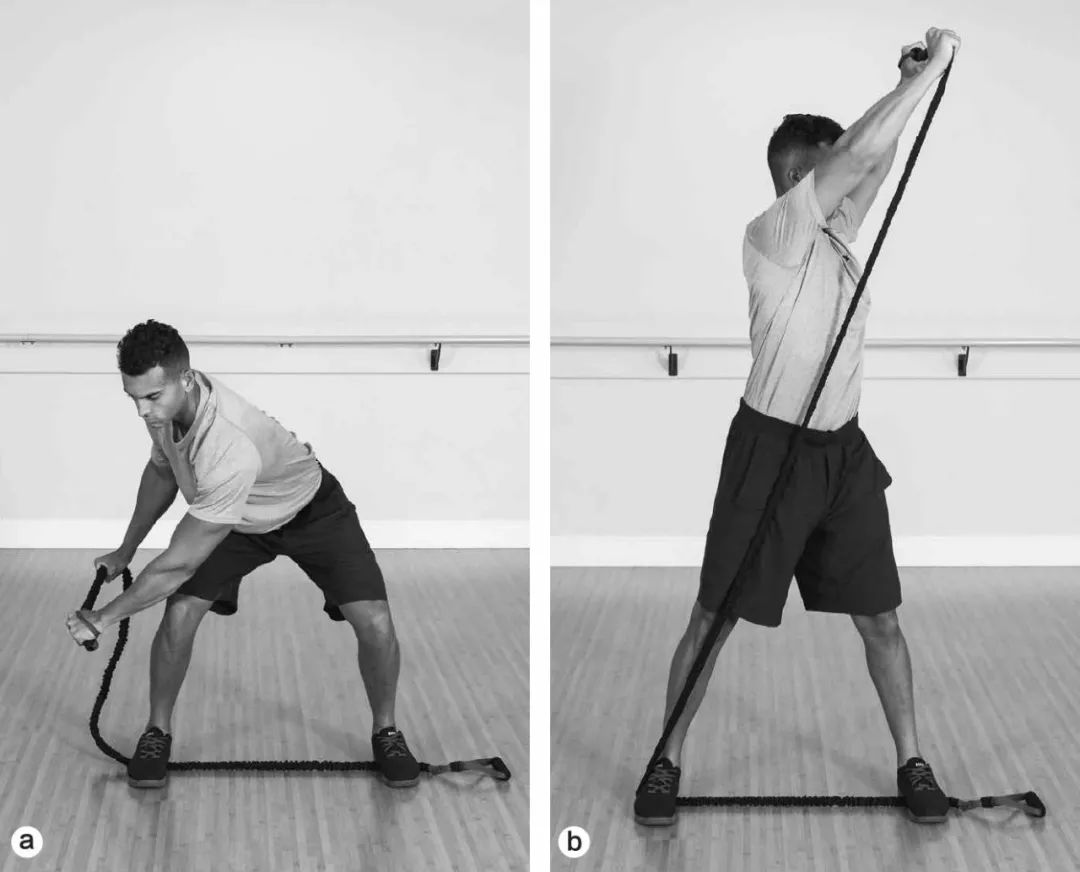 News - The use of tension tubes for fitness four movements